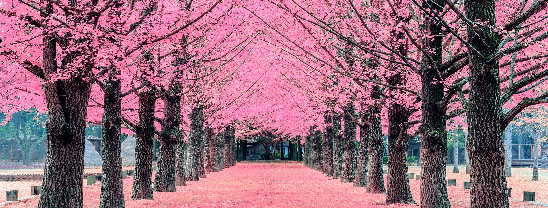 Accredited Programmes - BMIG